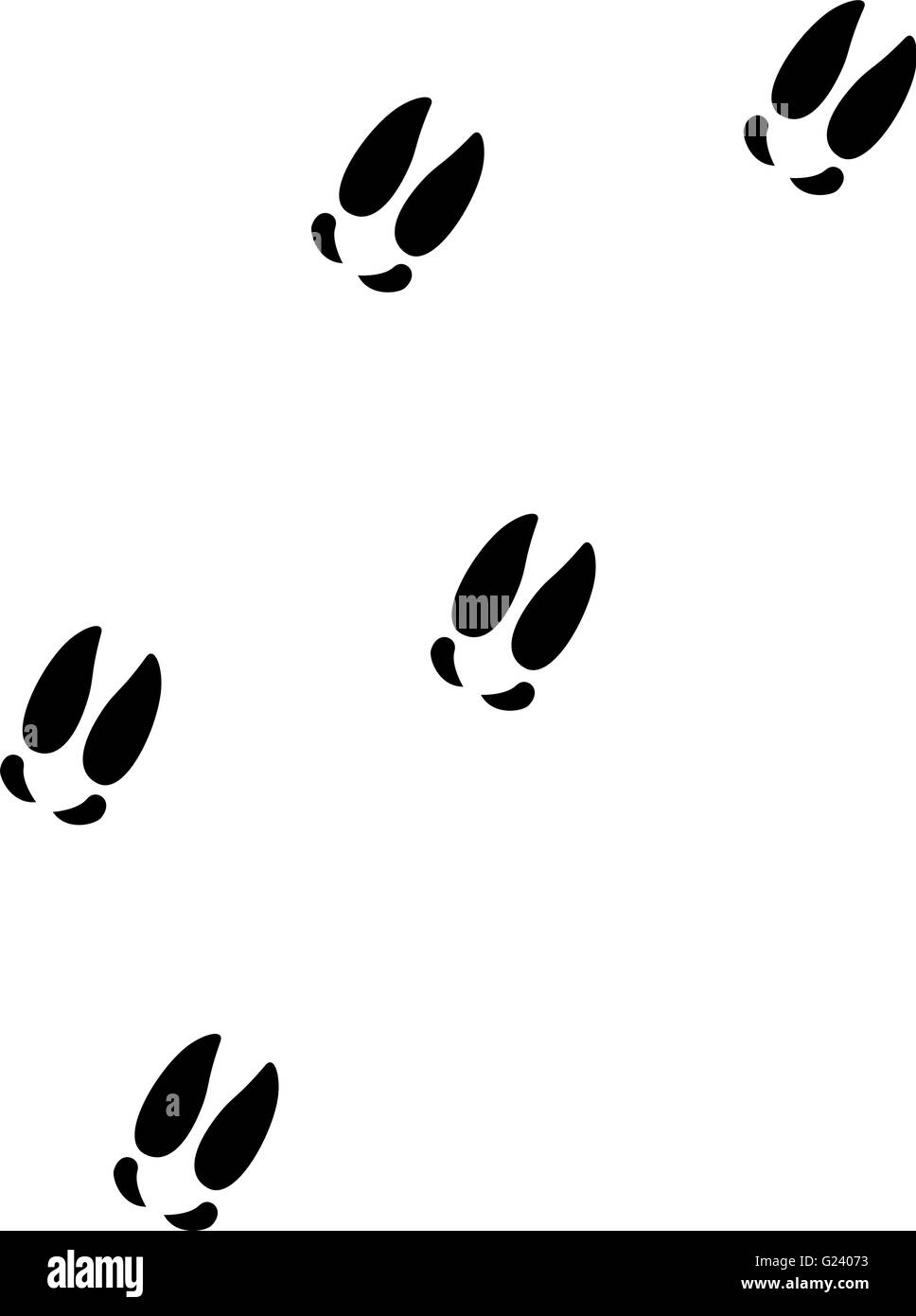 Moose tracks hi-res stock photography and images - Alamy