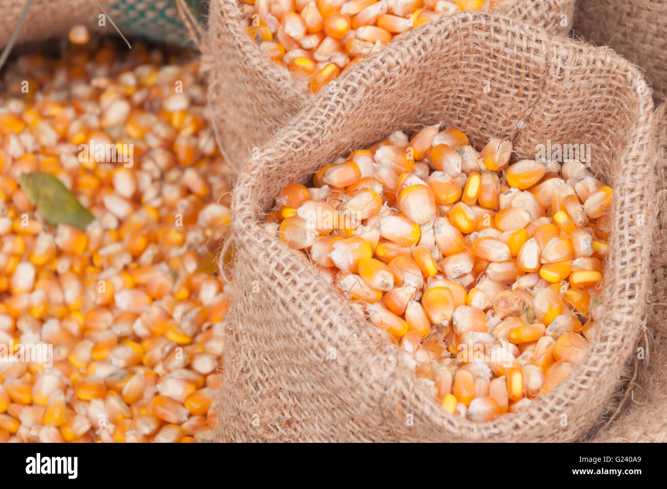 Corn groats and seeds Stock Photo - Alamy