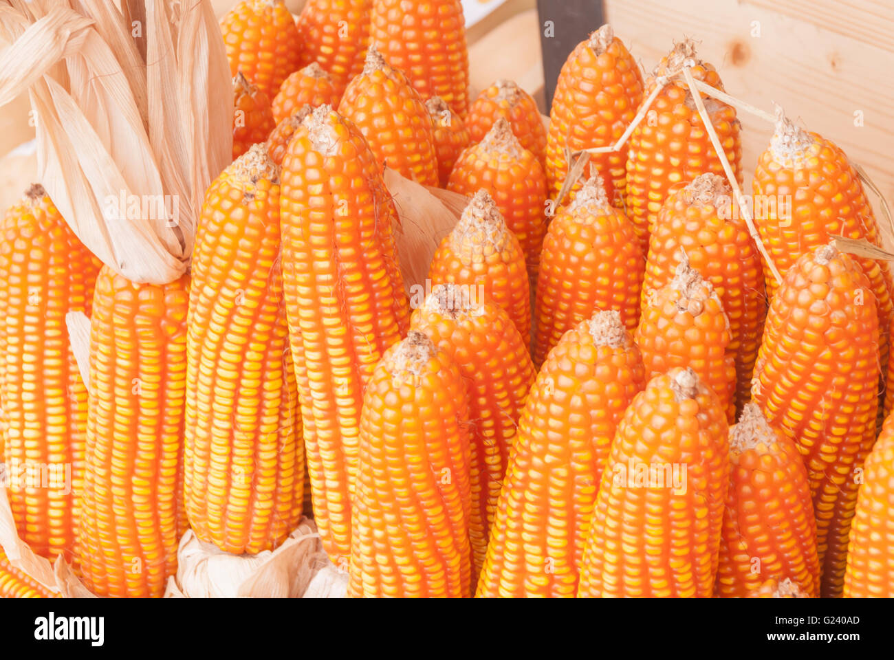 Corn groats and seeds Stock Photo - Alamy