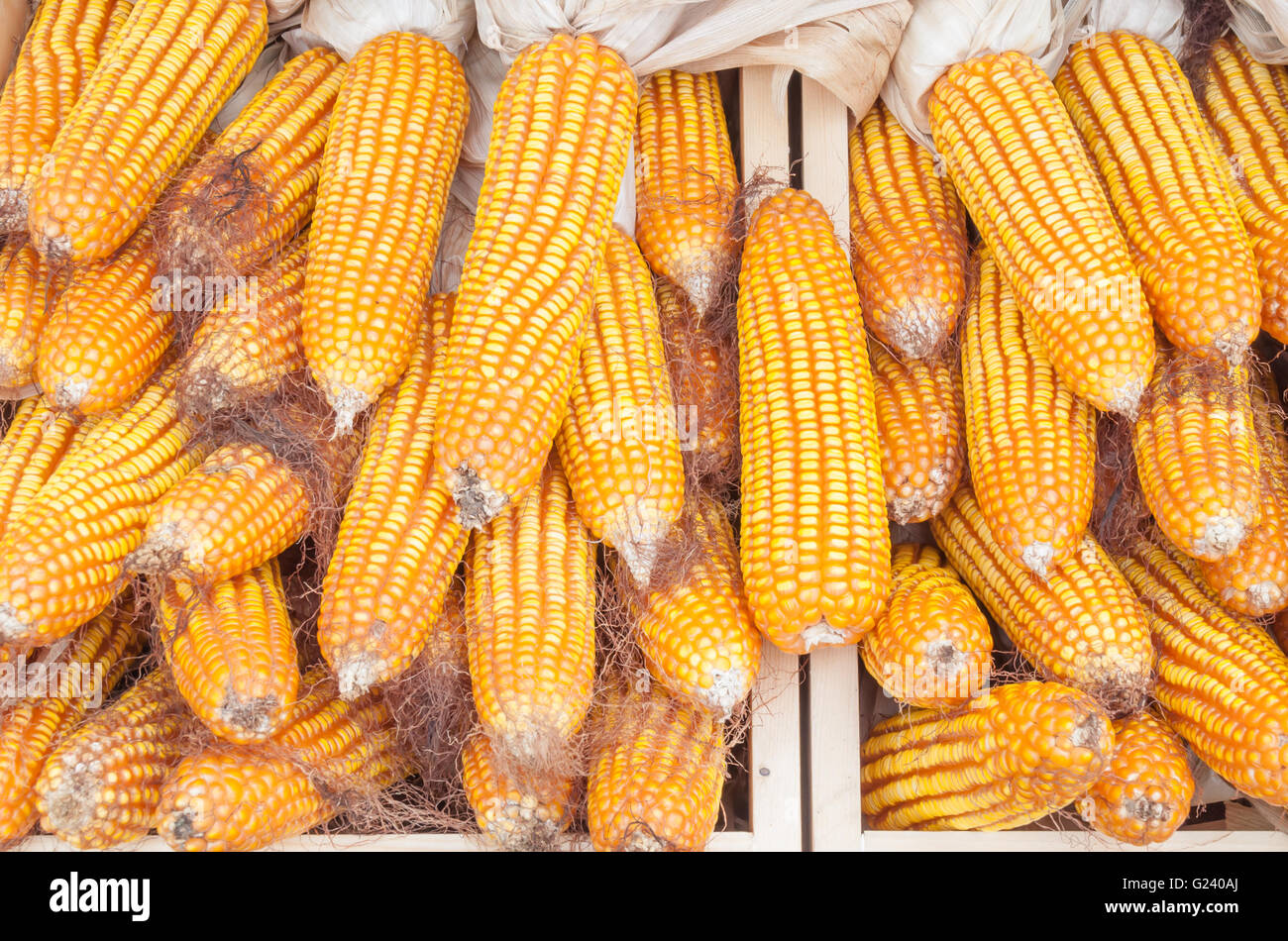 Corn groats and seeds Stock Photo - Alamy