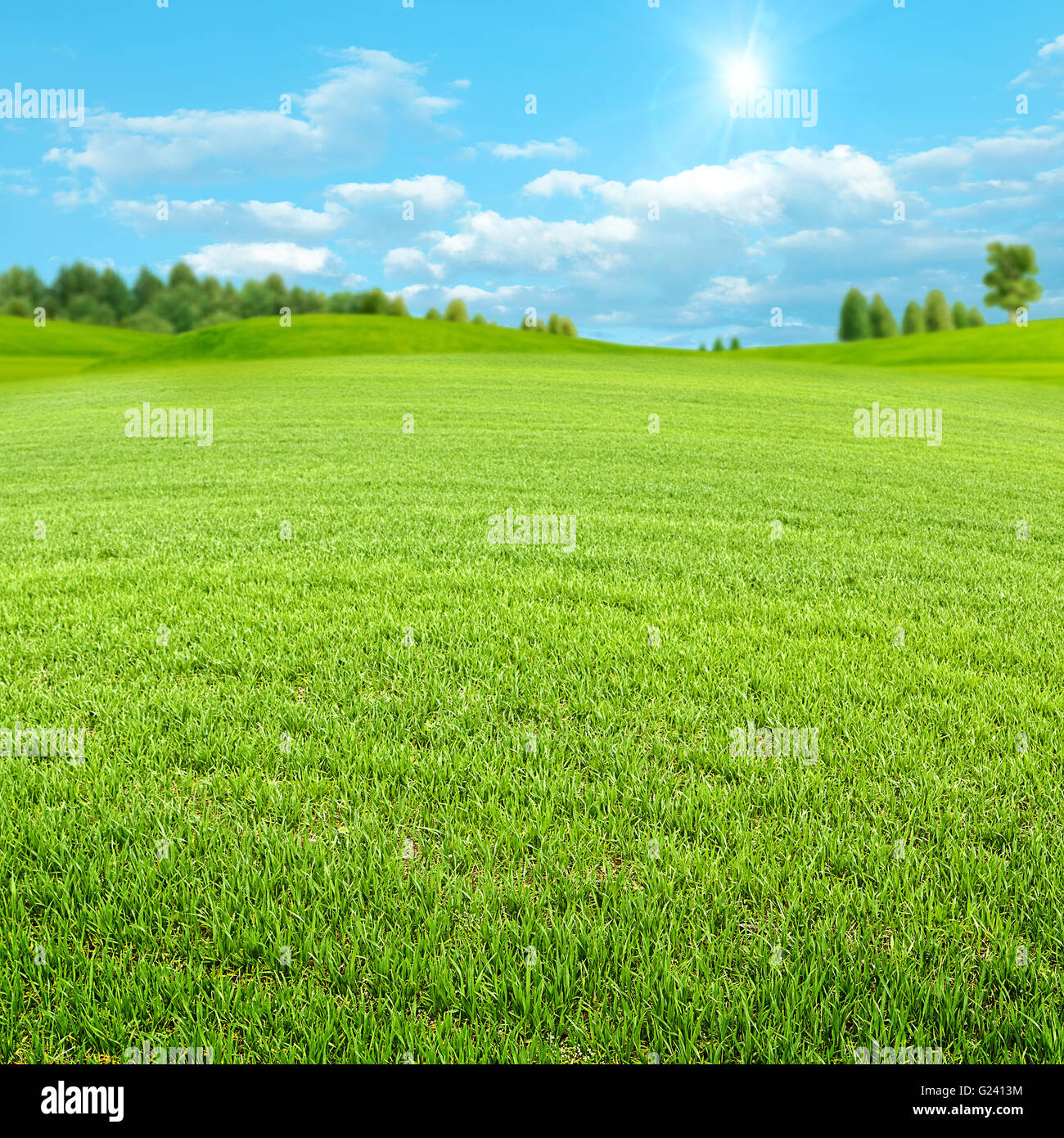 Green spring valley, beauty seasonal backgrounds Stock Photo - Alamy