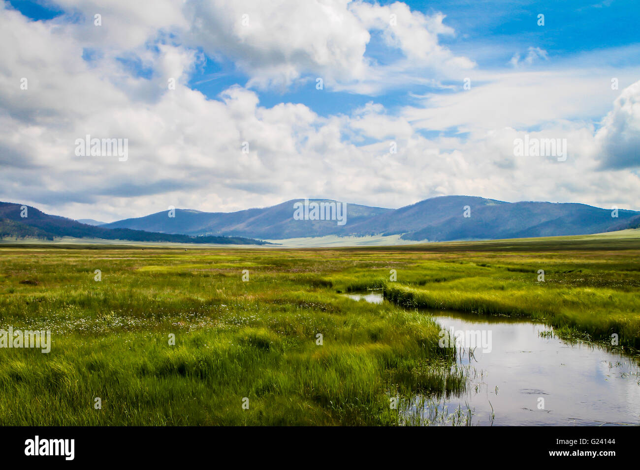 Valles caldera national preserve hi-res stock photography and images ...