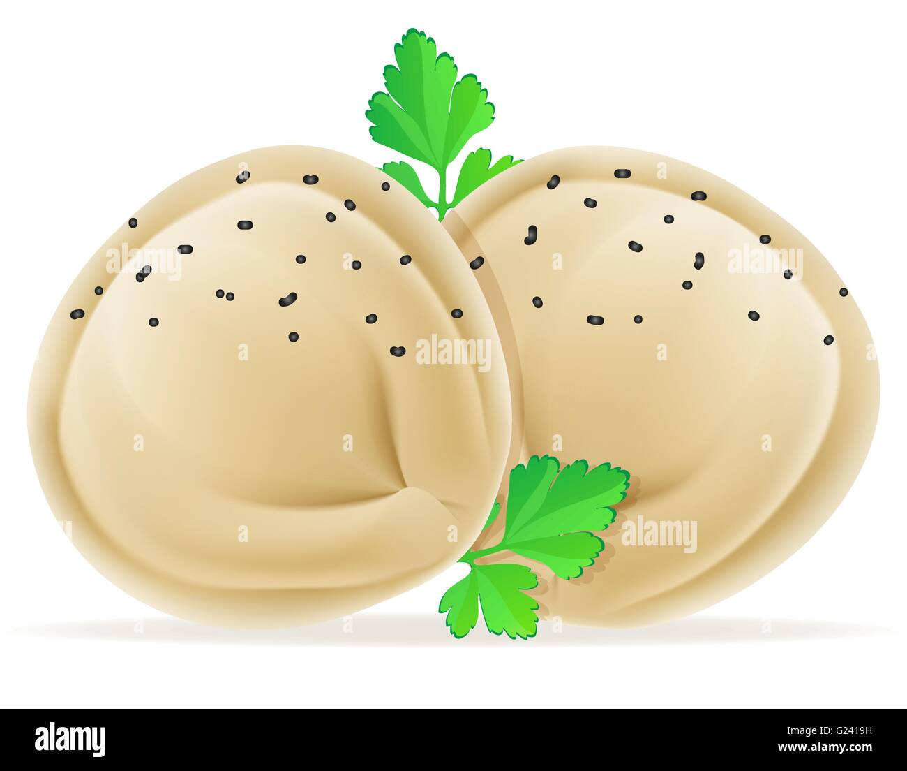 dumplings pelmeni of dough with a filling and greens vector ...