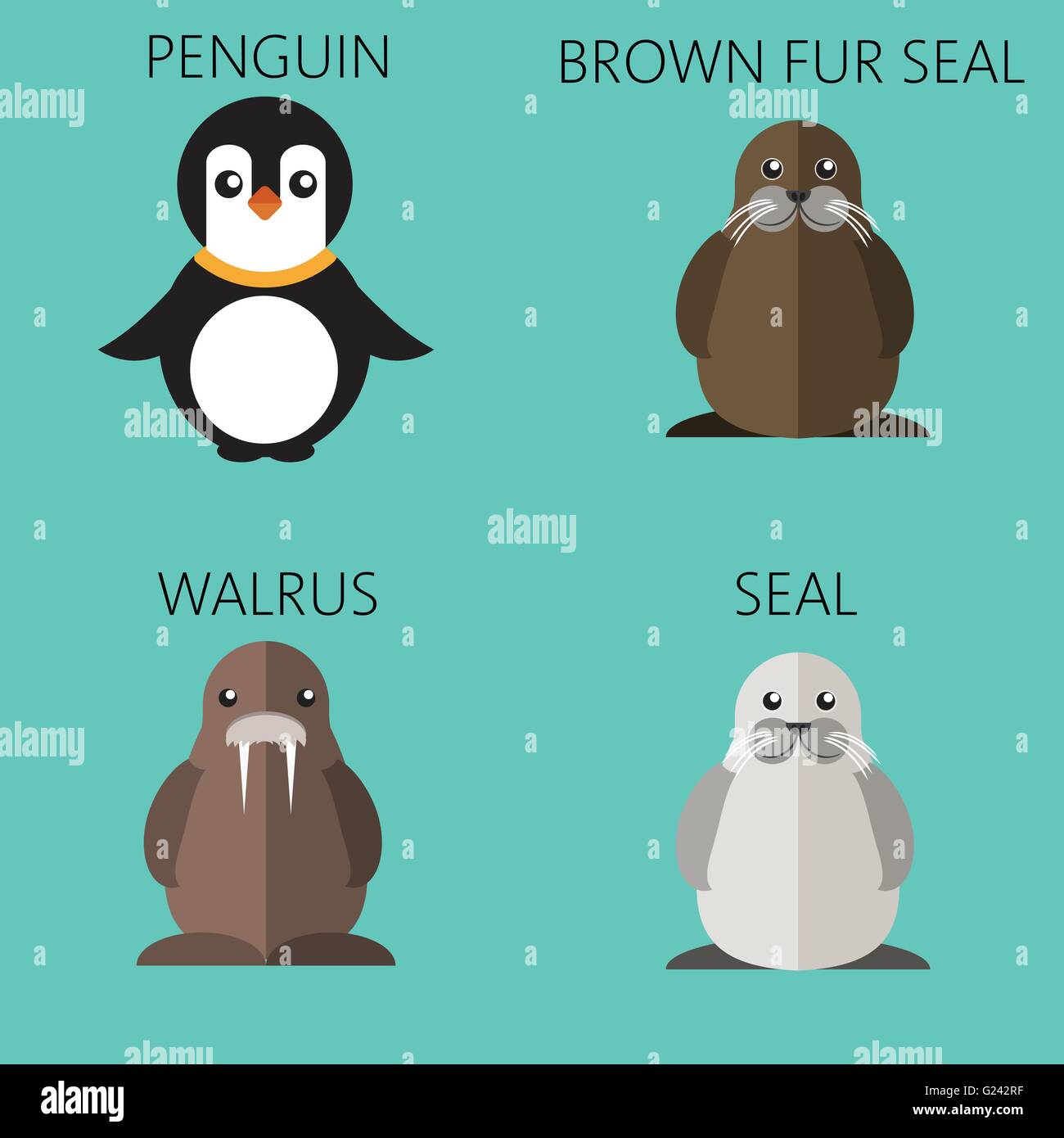Penguin walrus Stock Vector Images - Alamy