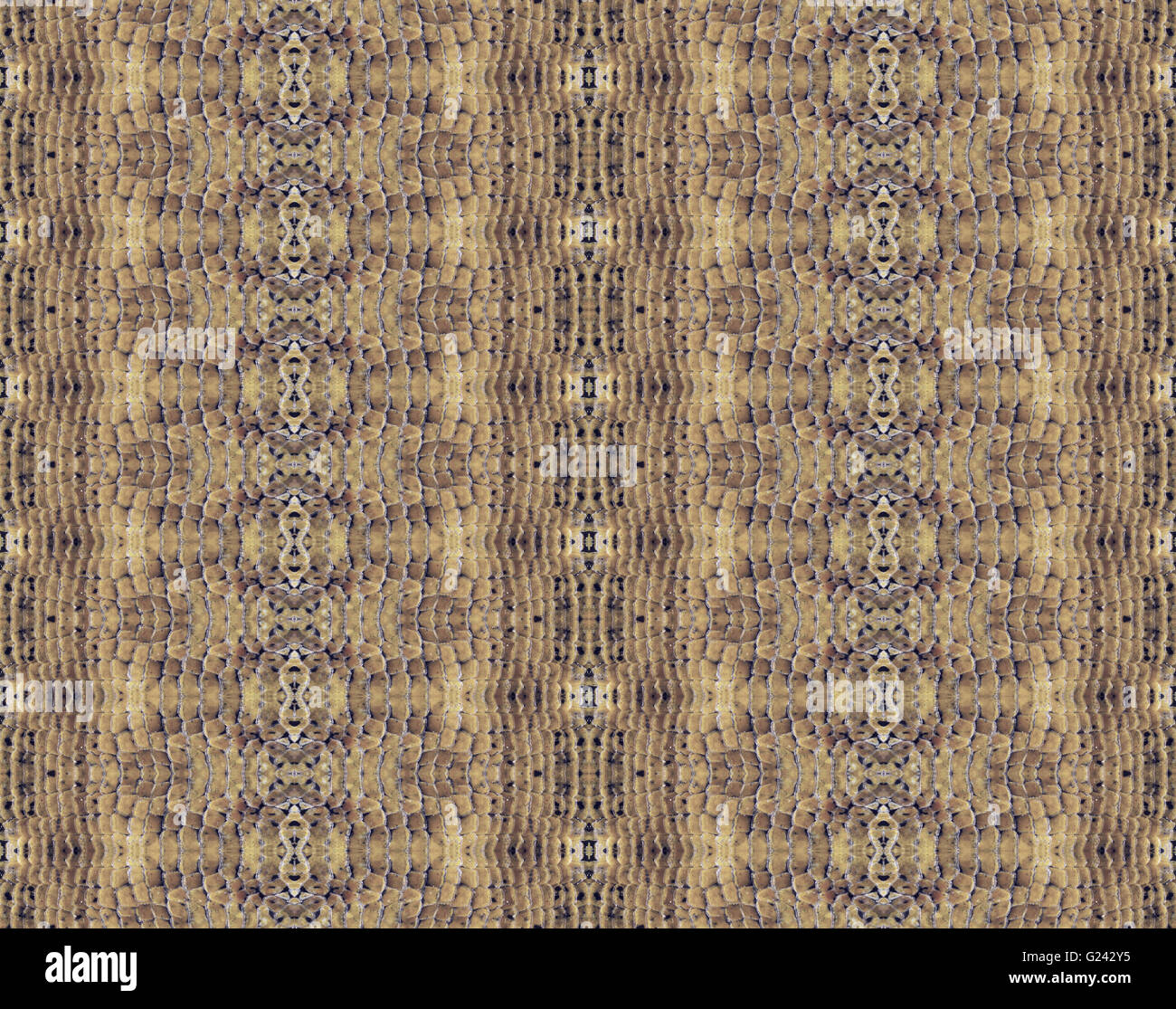 Snake skin pattern hi-res stock photography and images - Alamy