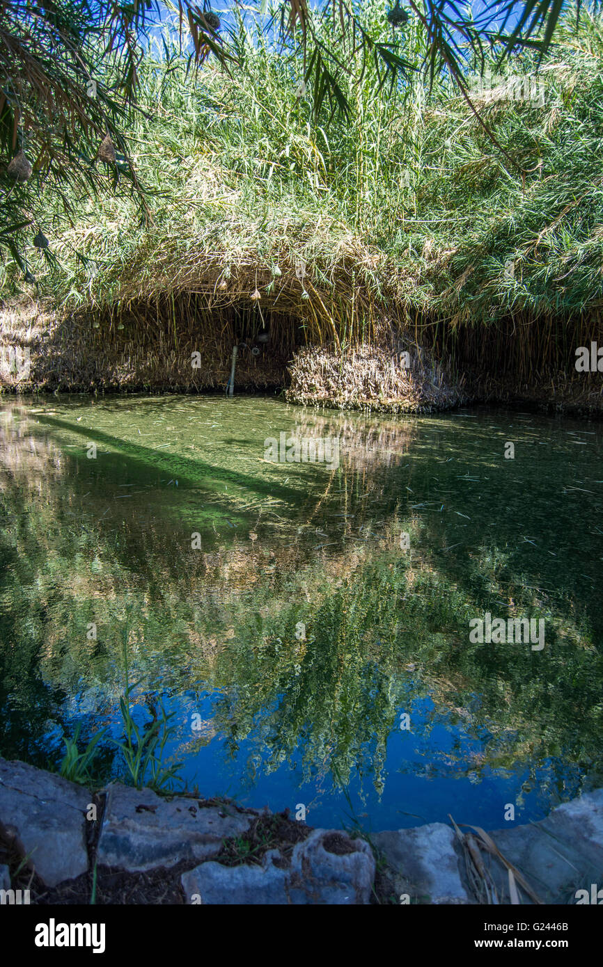 Natural spring on the Neuras Wine Estate in Namibia Stock Photo - Alamy