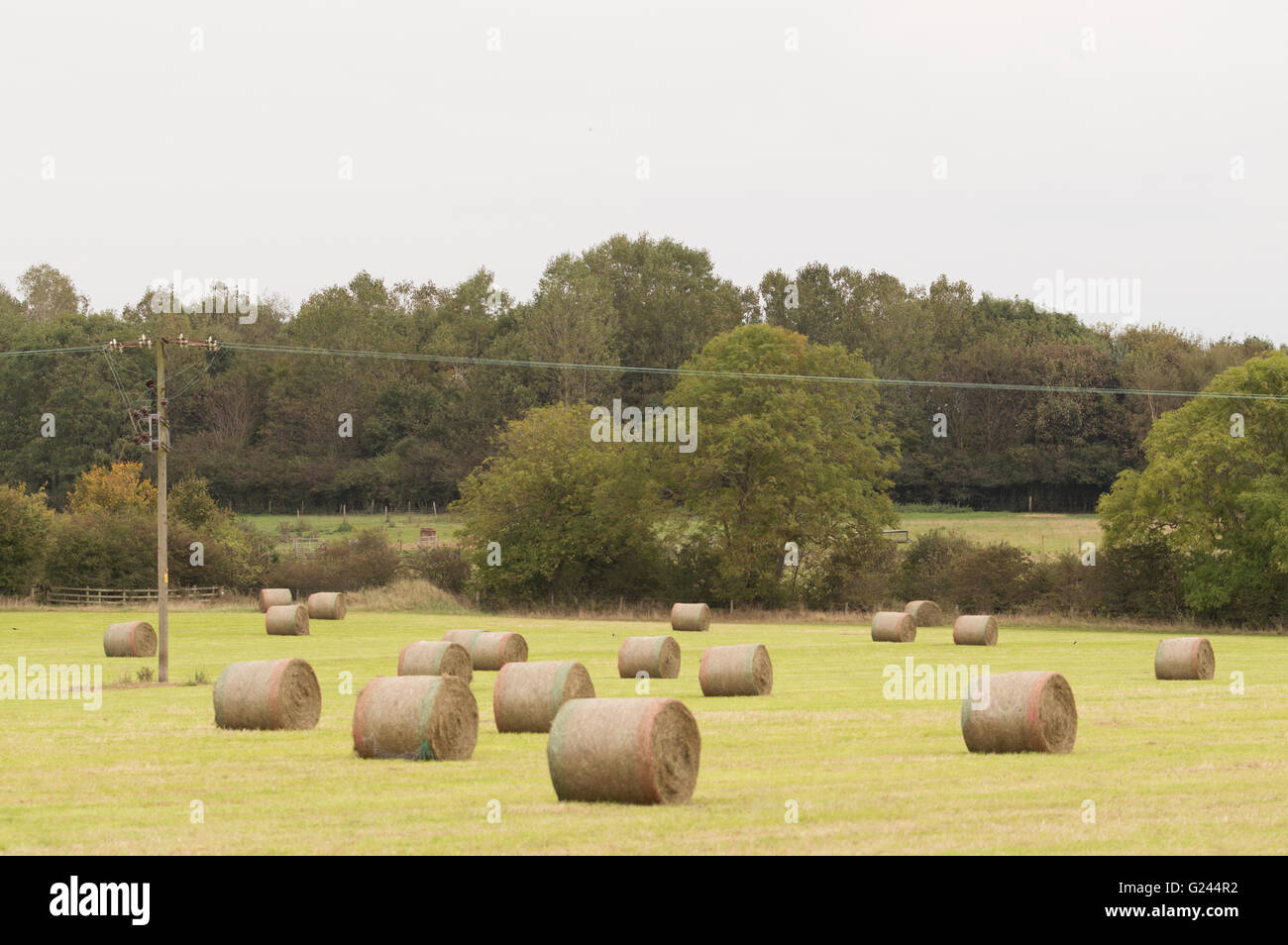 Hay Rolls At Farm High Resolution Stock Photography and Images - Alamy