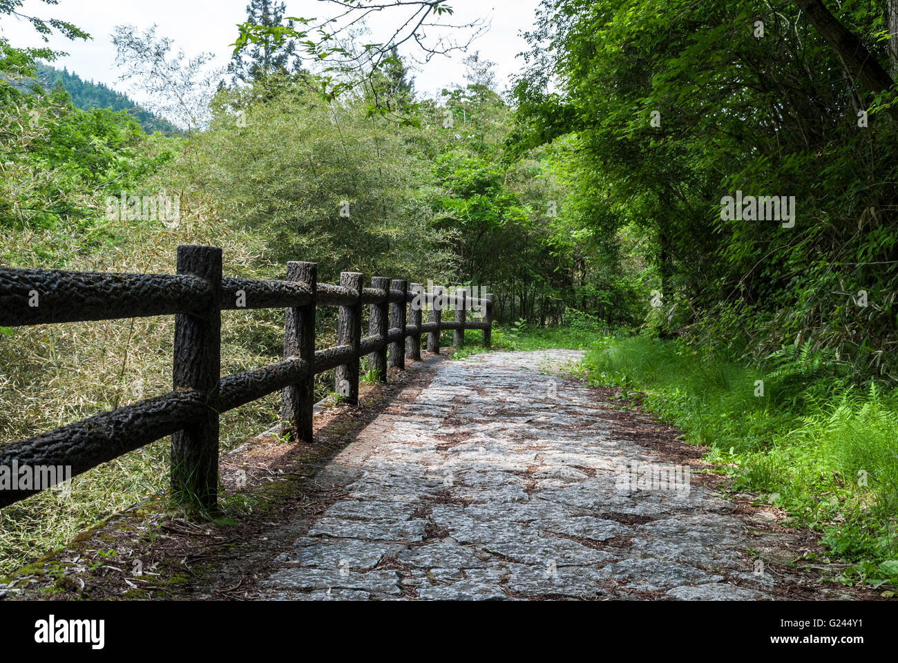 Hiking the Kiso Valley (Magome and Tsumago), Nakasendo road, in Japan ...