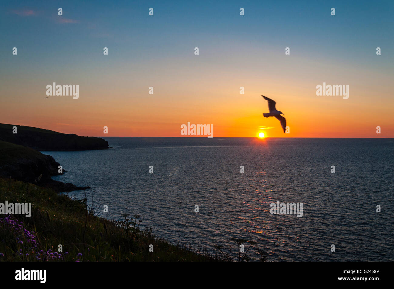Sunset over the ocean in Cornwall, England, UK Stock Photo - Alamy