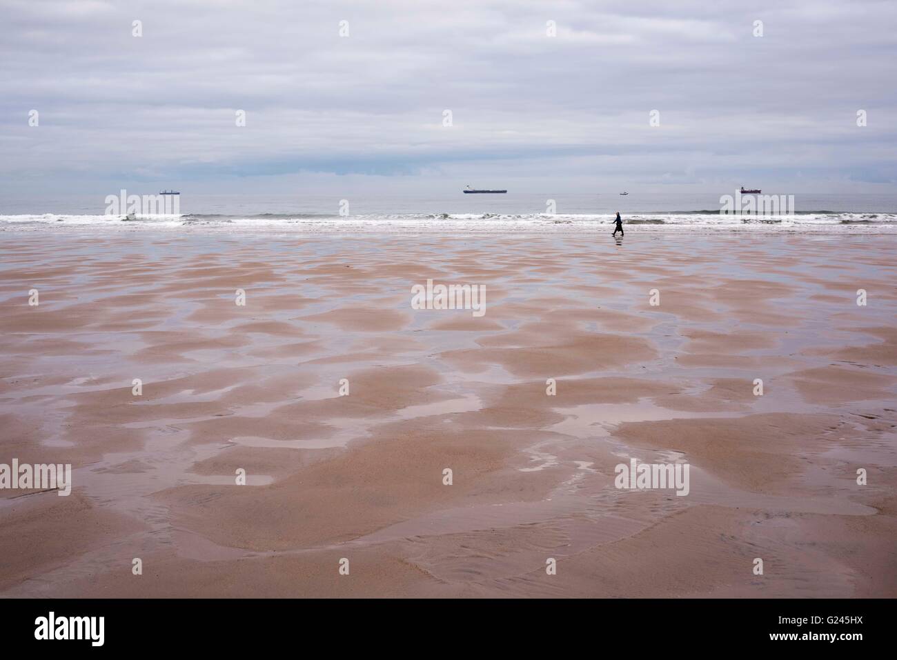 Belhaven bay near Dunbar , Scotland Stock Photo - Alamy
