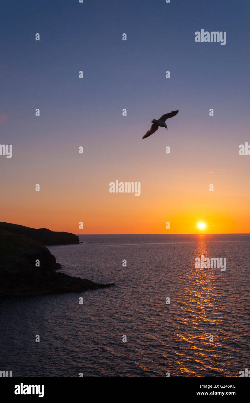 Sunset over the ocean in Cornwall, England, UK Stock Photo - Alamy
