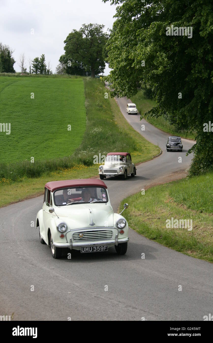 A LINE OF FOUR MORRIS MINOR CLASSIC CARS IN CONVOY ON A COUNTRY NARROW ...