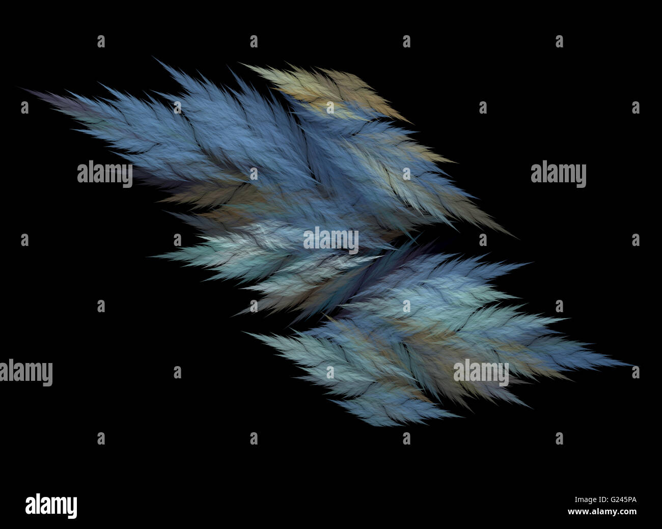 Mathematics of leaves hi-res stock photography and images - Alamy