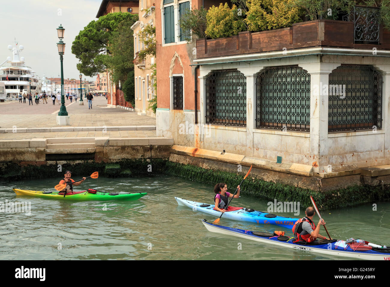 Venice Kayak tour, Castello area Stock Photo - Alamy