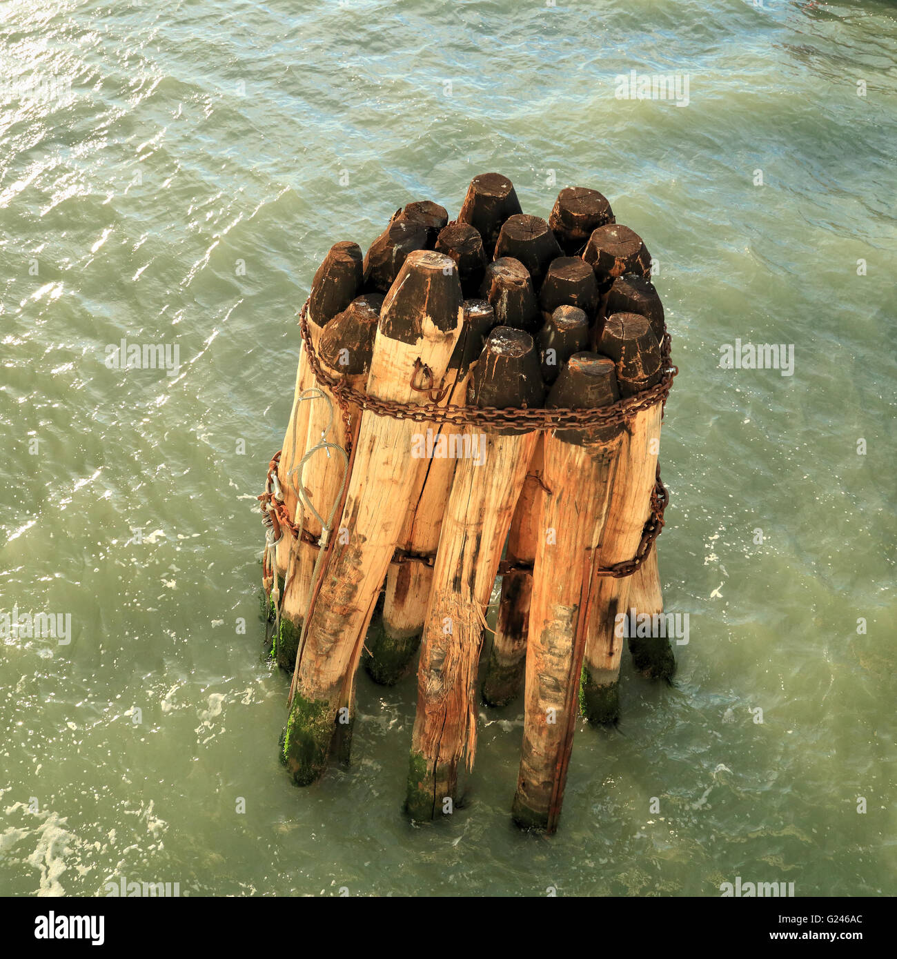 Wooden poles in the Venetian Lagoon Stock Photo - Alamy