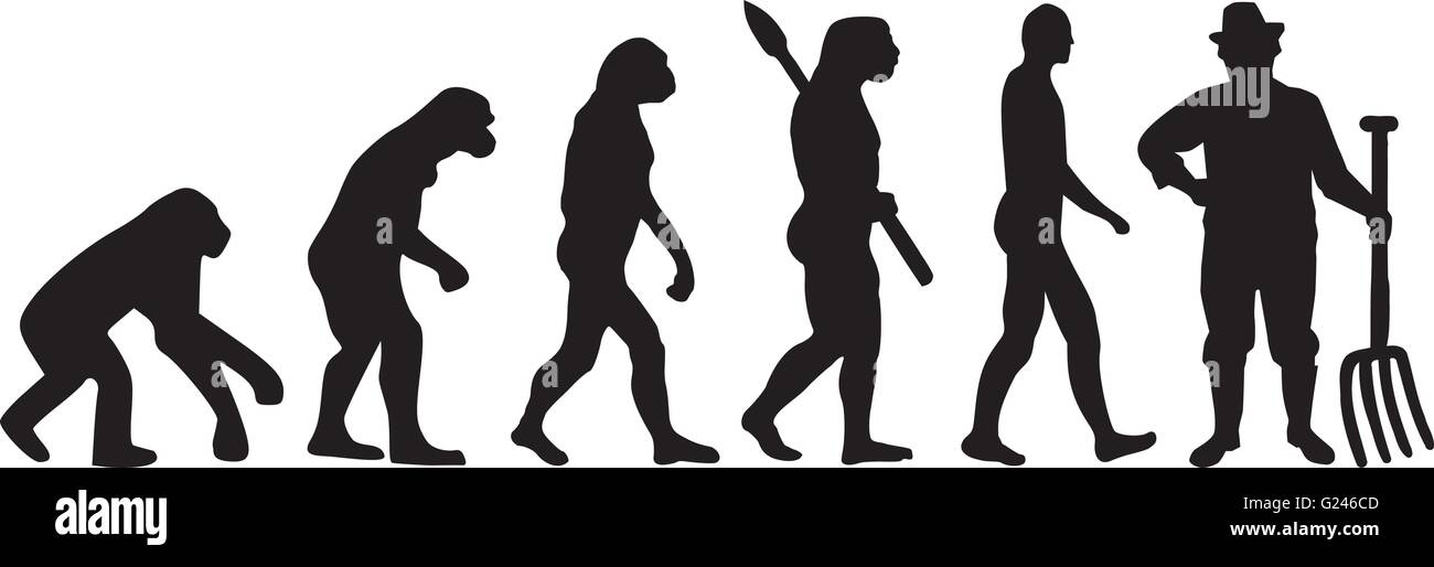 Homo sapiens evolution Stock Vector Images - Alamy