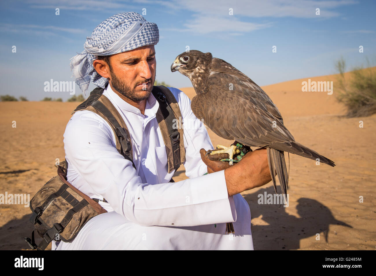 Arab man with peregrine falcon on his hand Stock Photo - Alamy