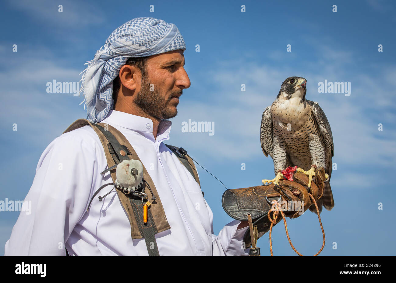 Man falcon arab hi-res stock photography and images - Alamy