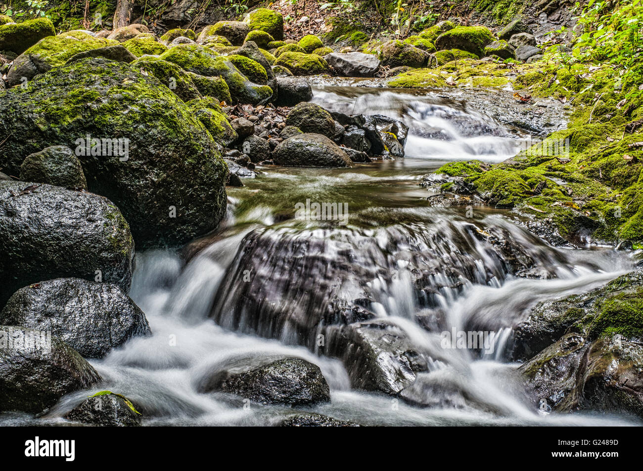 River Flowing Through the Rocks Stock Photo - Alamy