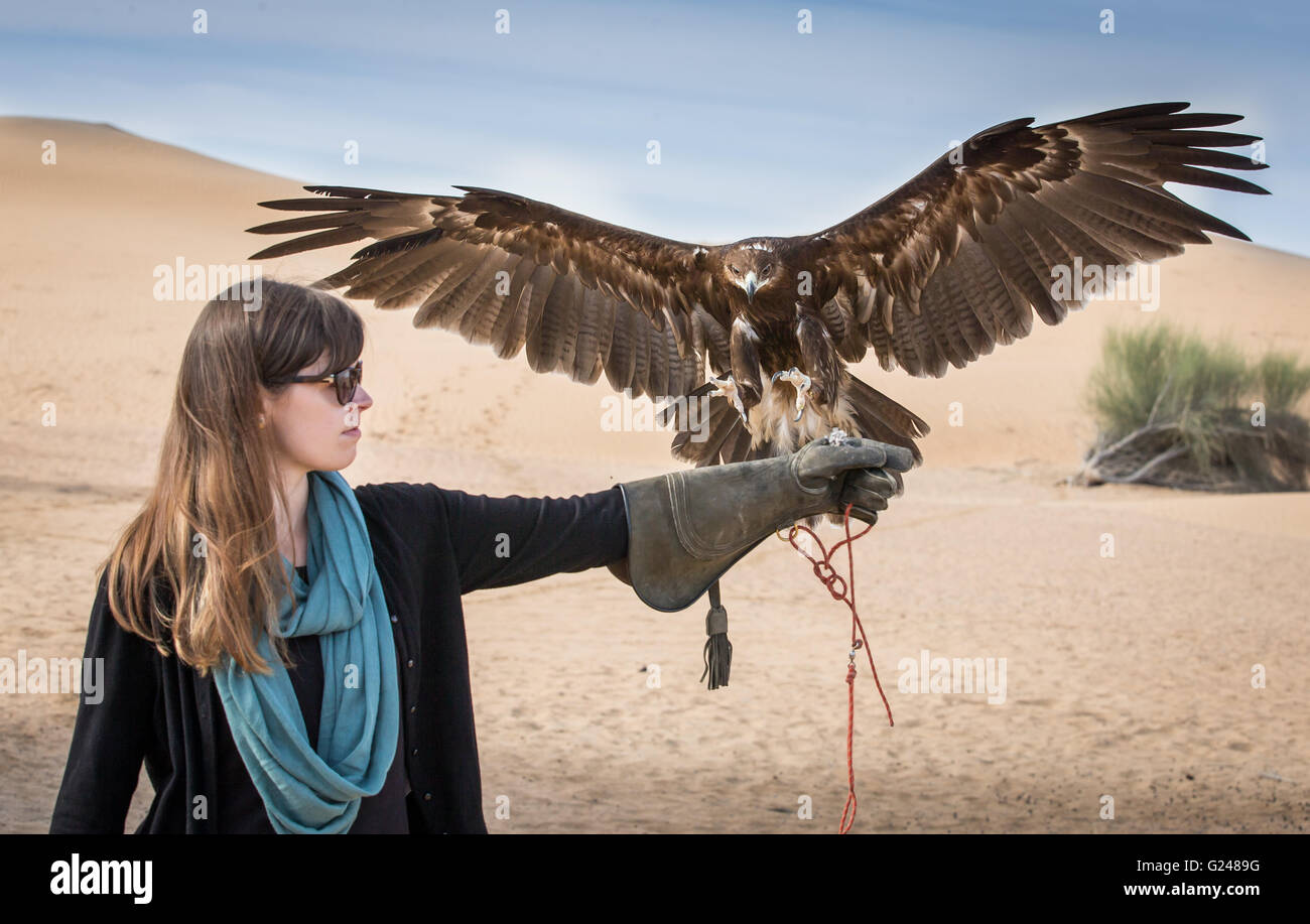 Greater spotted eagle is landing on a hand of a woman Stock Photo - Alamy