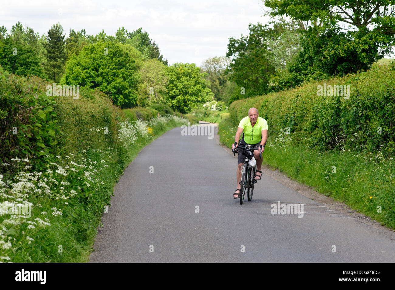 male cyclist on bicycle cycling in country lane england uk Stock Photo ...