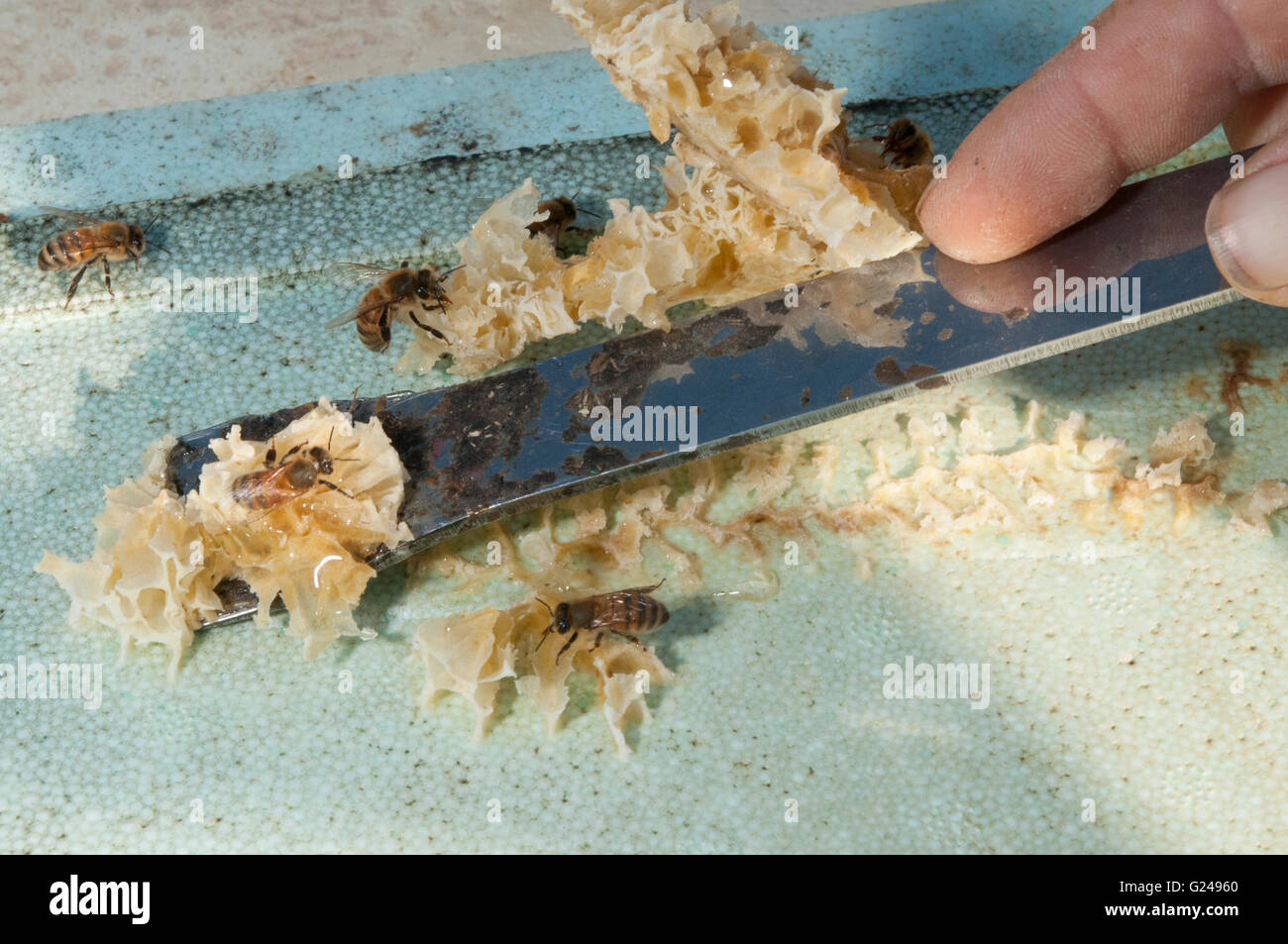 Wax removal hi-res stock photography and images - Alamy