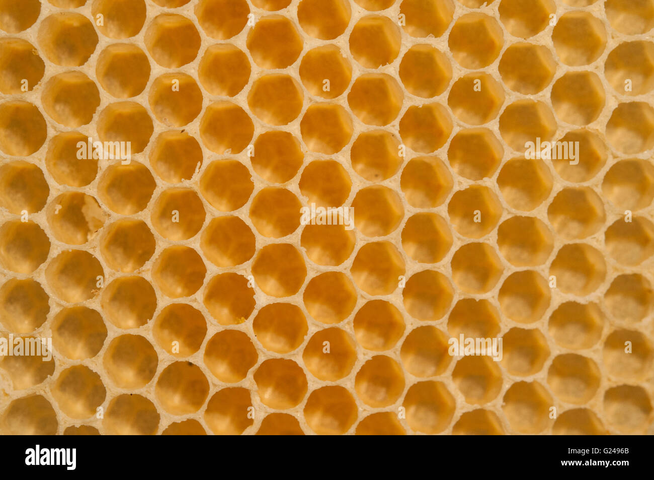 Honey combs hi-res stock photography and images - Alamy