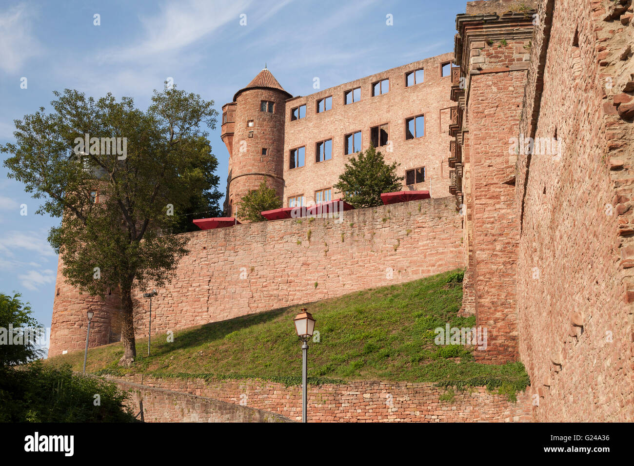 Burg Wertheim Castle, Wertheim, Tauber Valley, Baden-Württemberg ...