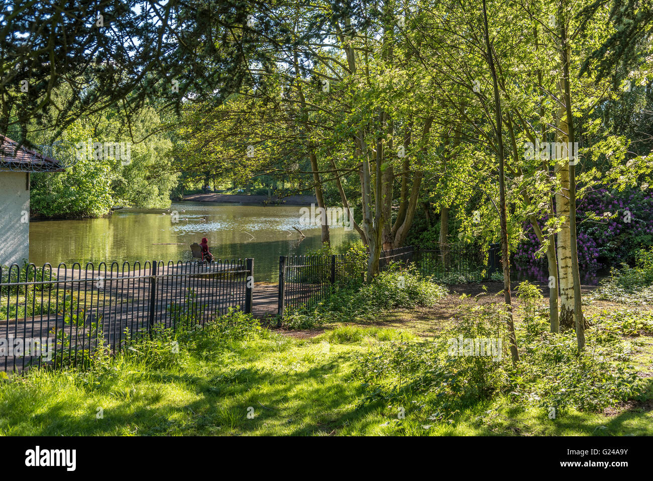 Calderstones park hi-res stock photography and images - Alamy