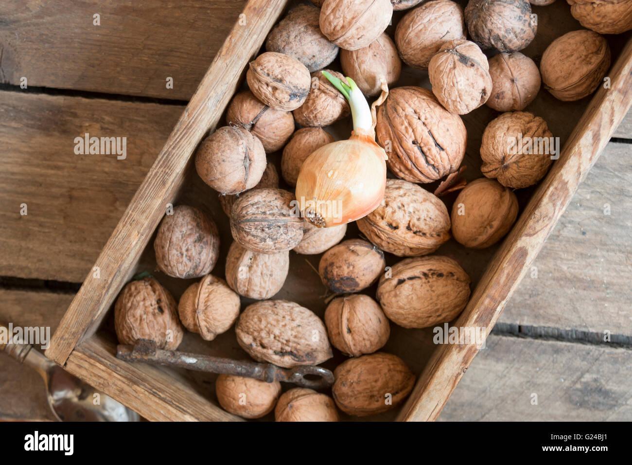 Walnuts nuts snack hi-res stock photography and images - Alamy