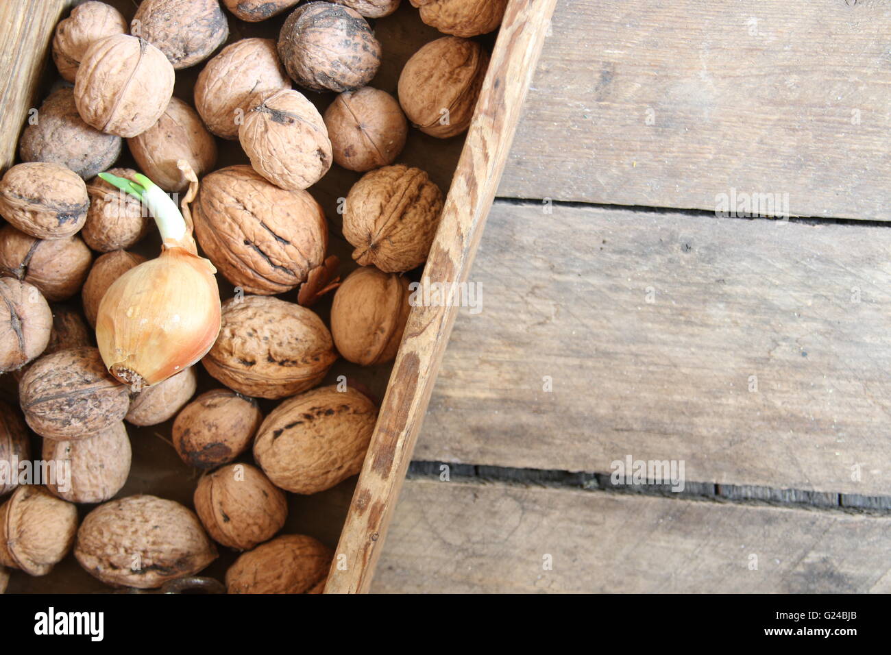 Walnuts nuts snack hi-res stock photography and images - Alamy