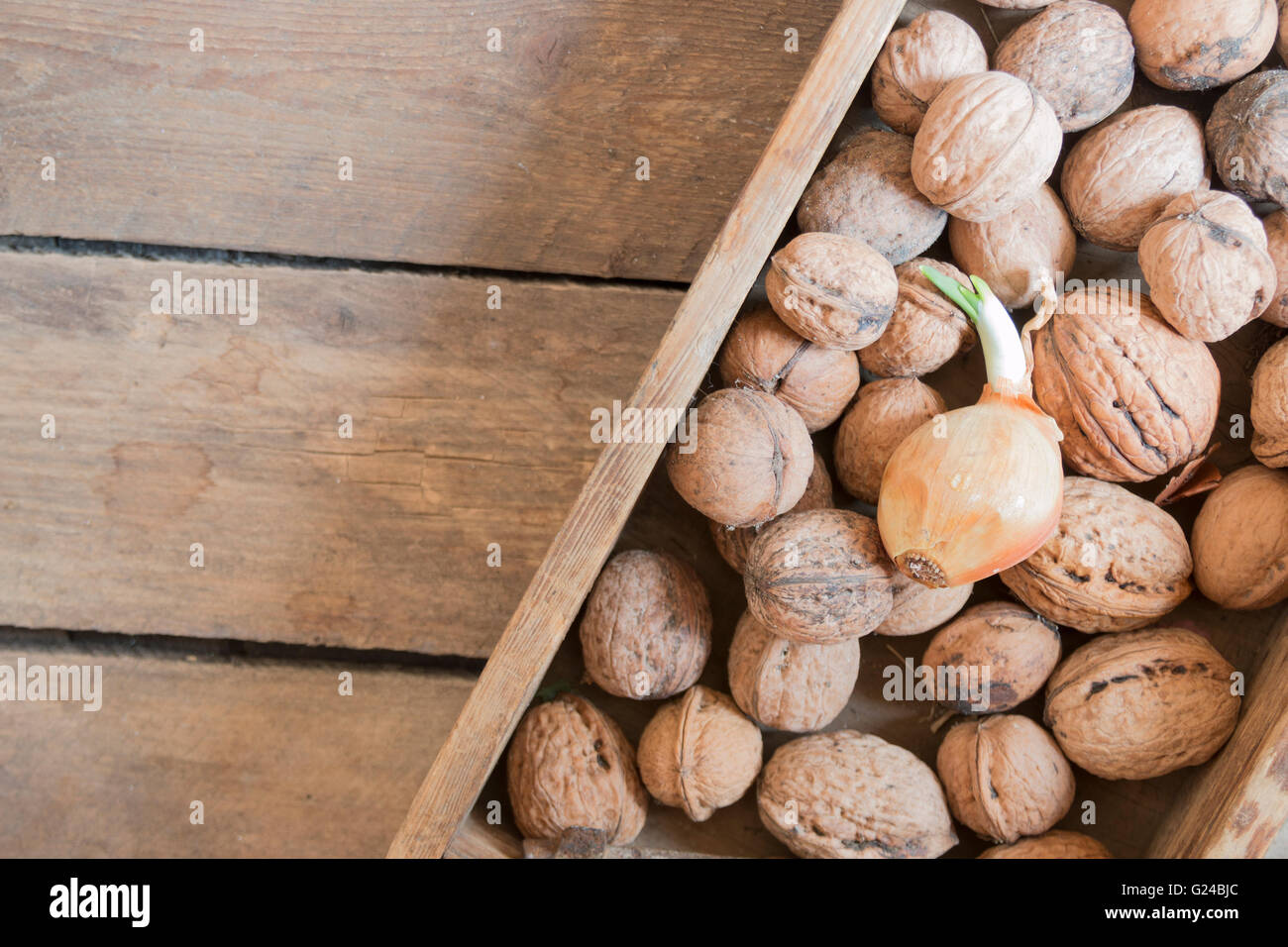 Walnuts nuts snack hi-res stock photography and images - Alamy