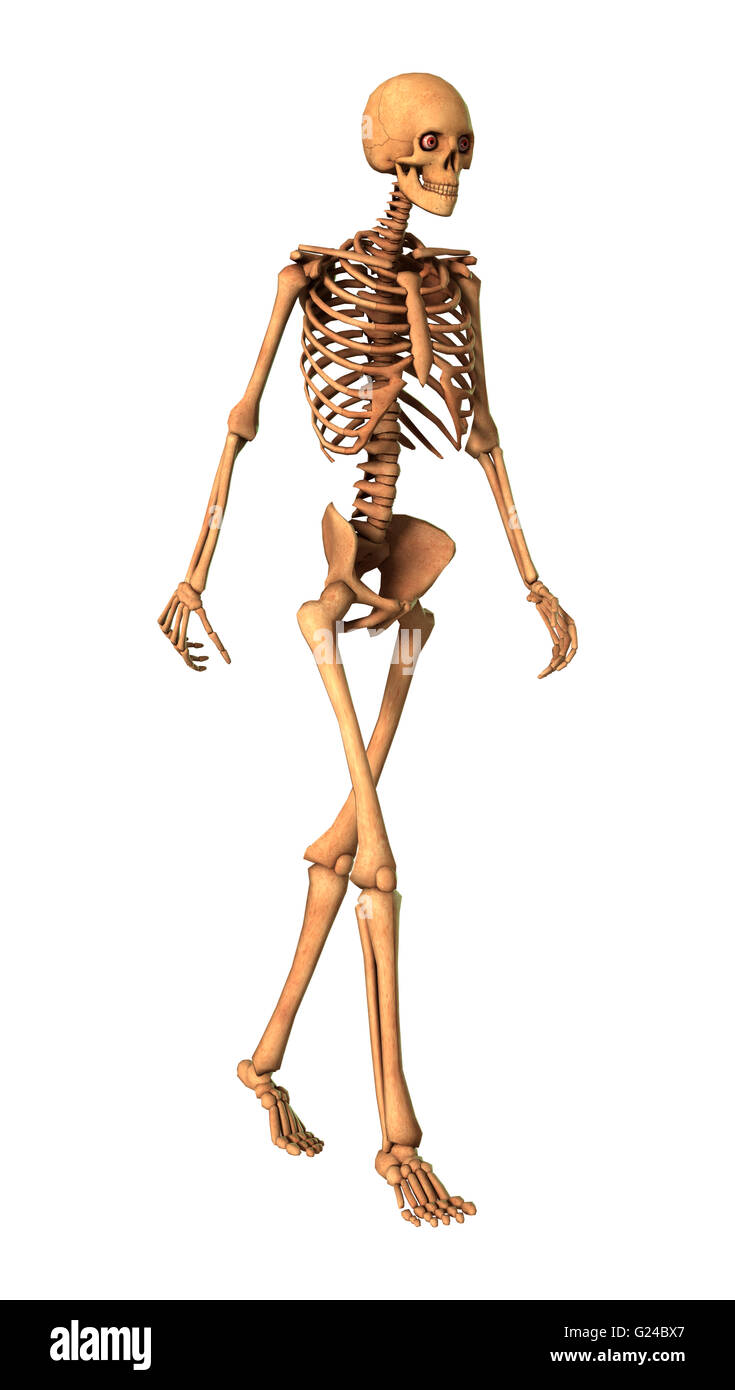 Skeleton Throwing Its Head