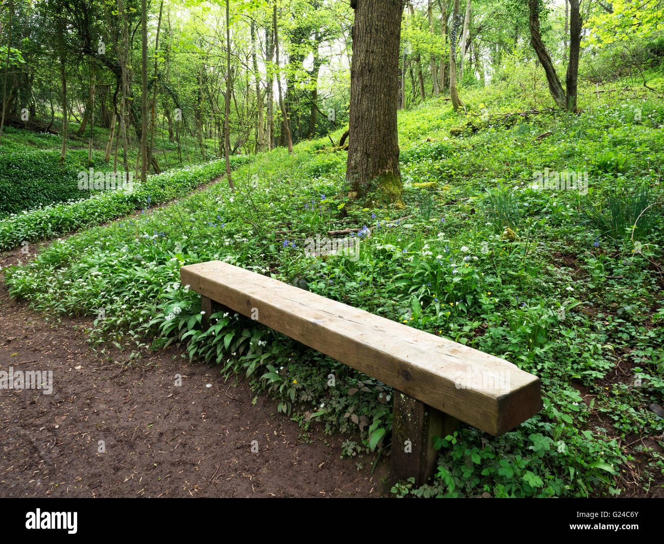 Mackintosh Park Knaresborough North Yorkshire England Stock Photo - Alamy