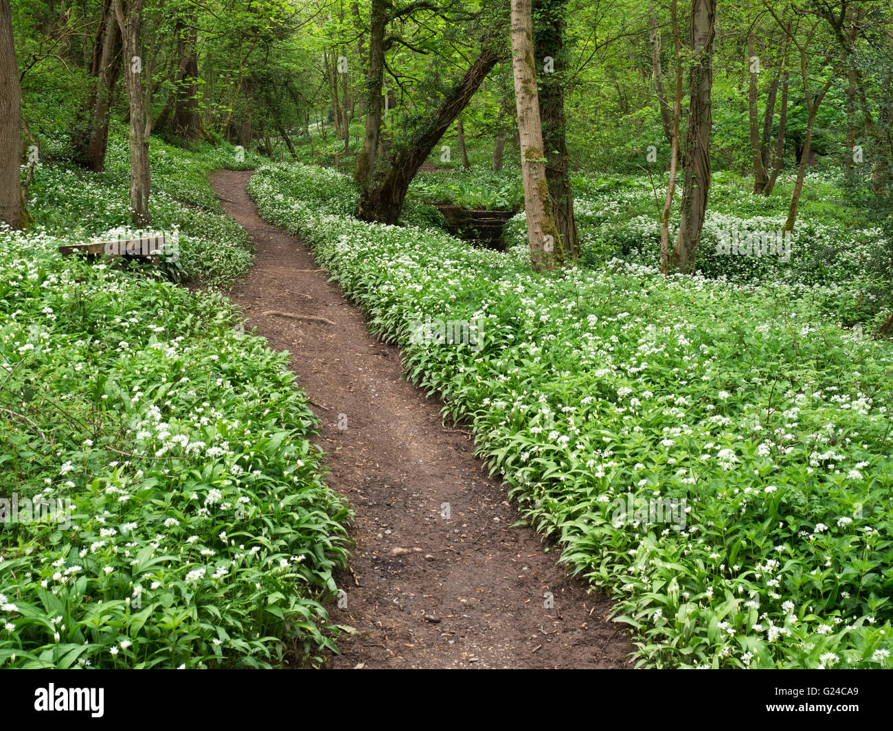 Mackintosh park knaresborough hi-res stock photography and images - Alamy