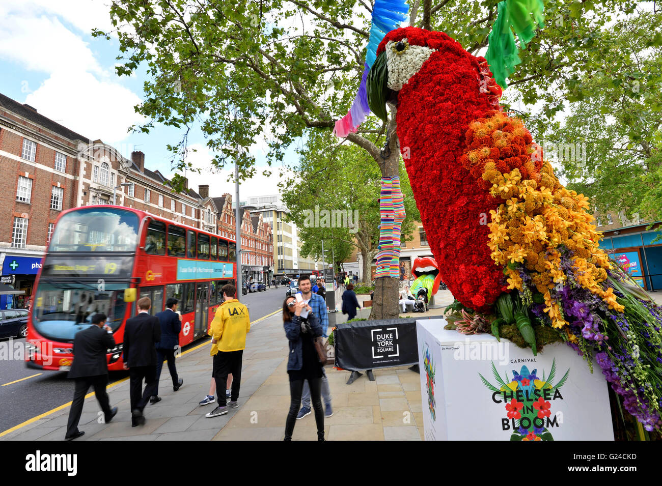 EDITORIAL USE ONLY An amazonian parrot to celebrate this yearÃ¢Â€Â™s ...
