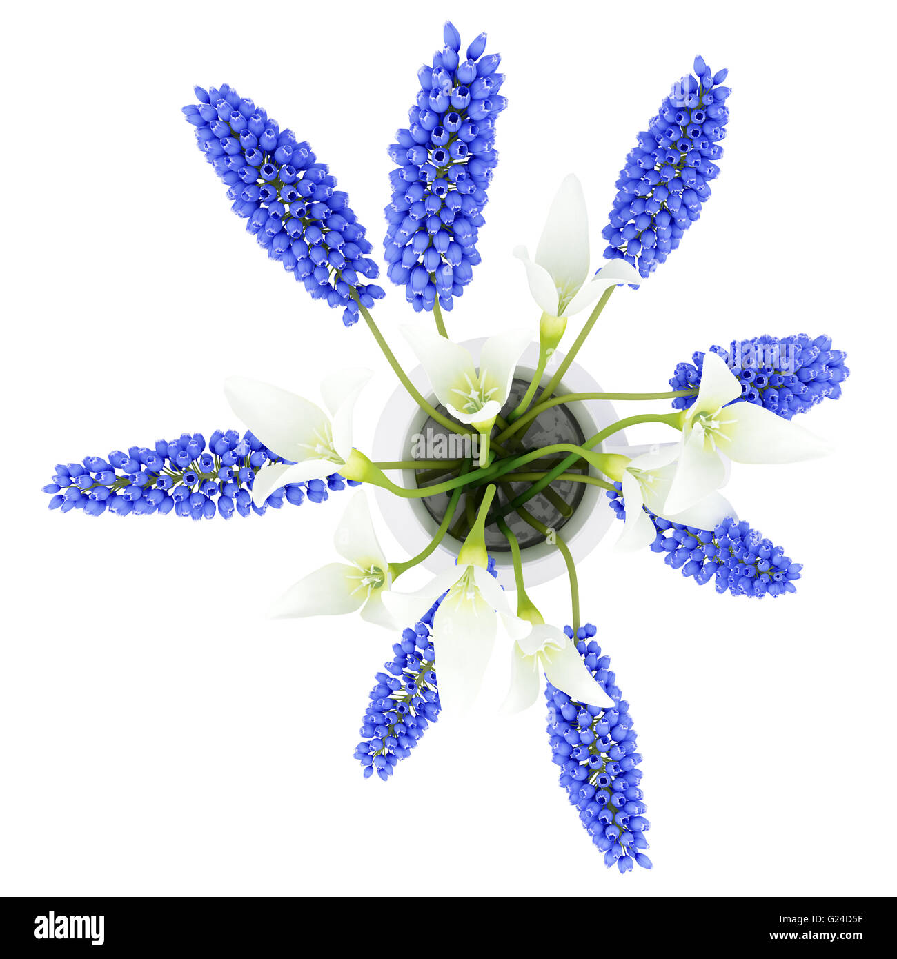 top view of flowers in vase isolated on white background Stock Photo ...