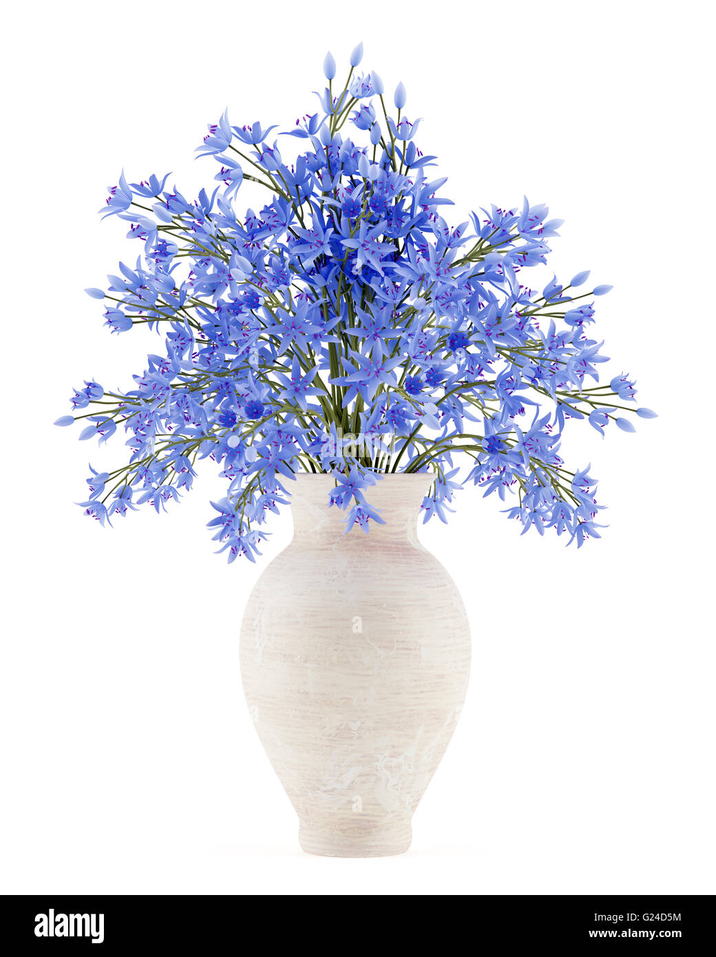 blue flowers in ceramic vase isolated on white background Stock Photo ...