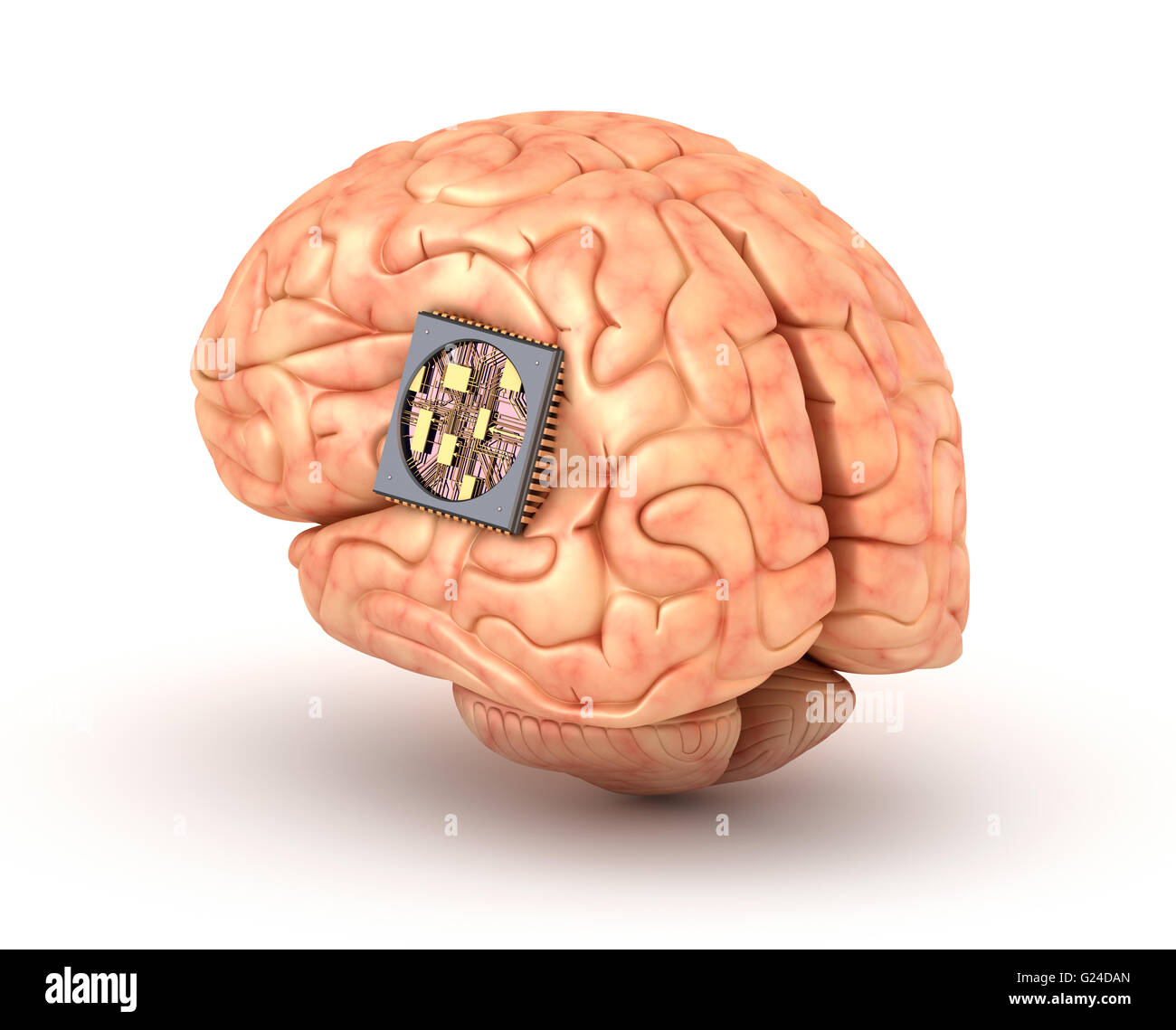 Human brain with computer chip Stock Photo - Alamy