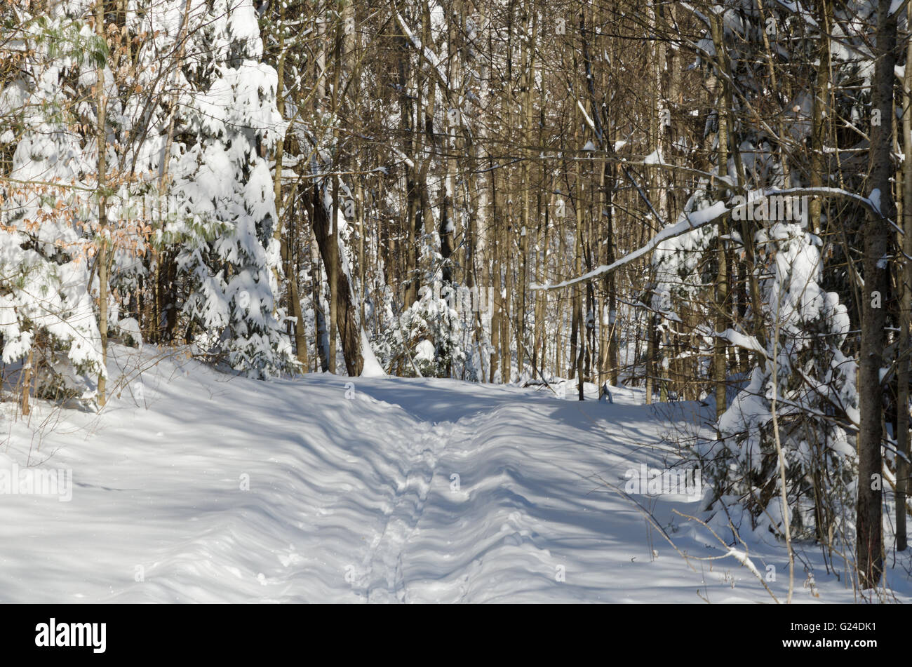 Killarney winter hi-res stock photography and images - Alamy
