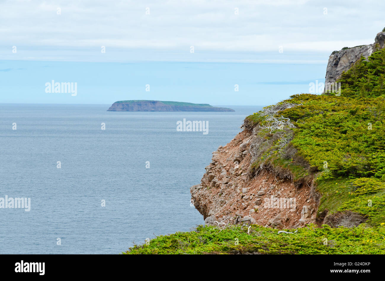 Cliff on Port au Port Peninsula, Newfoundland, Canada Stock Photo - Alamy