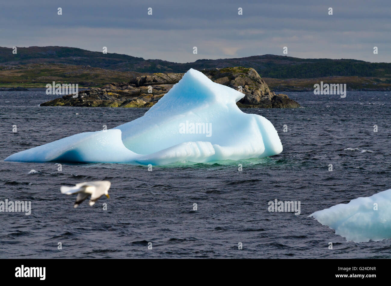Bright white iceberg on dark water and rock background Stock Photo - Alamy