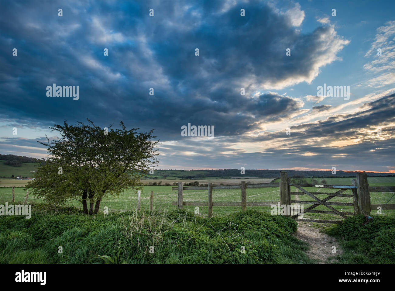 Stunning English countryside landscape over fields at sunset Stock ...