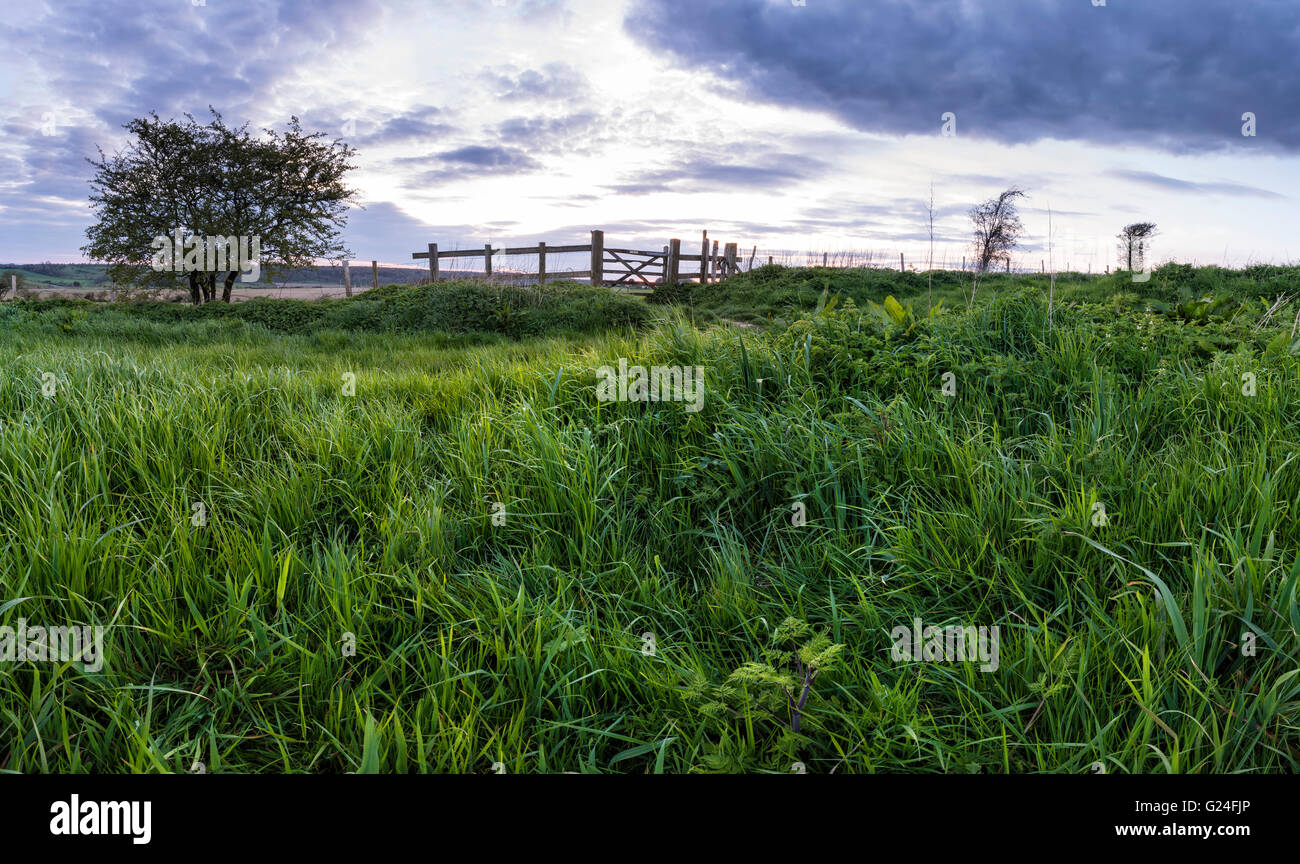 Stunning English countryside panorama landscape over fields at sunset ...
