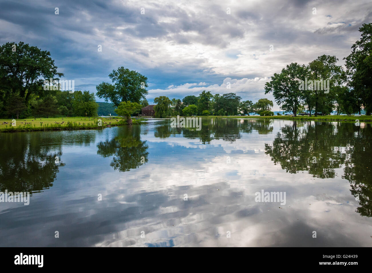 Storm clouds reflecting in a pond at Stewart Park in Ithaca, New York ...