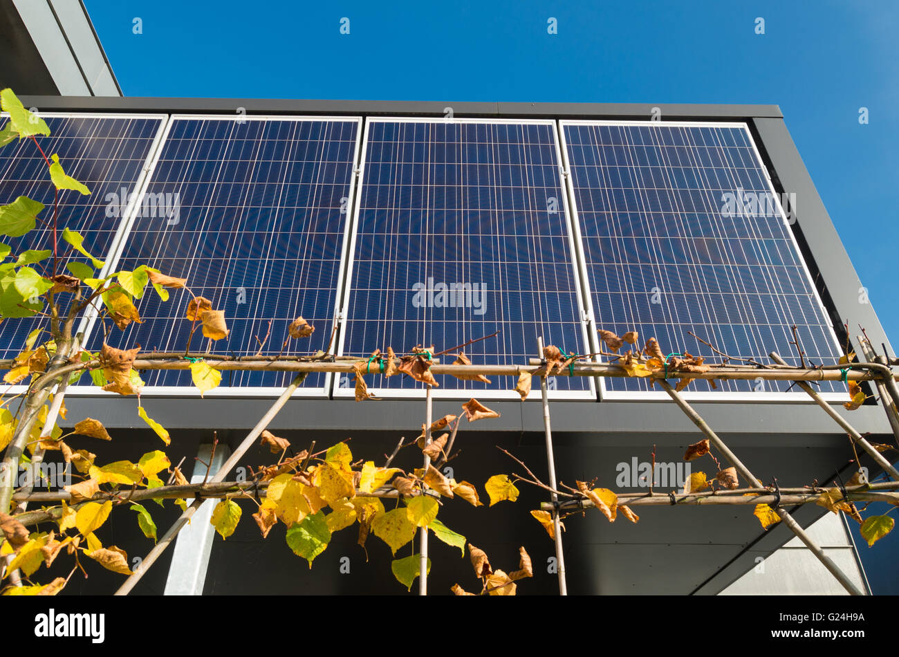 solar panels on an office building Stock Photo - Alamy