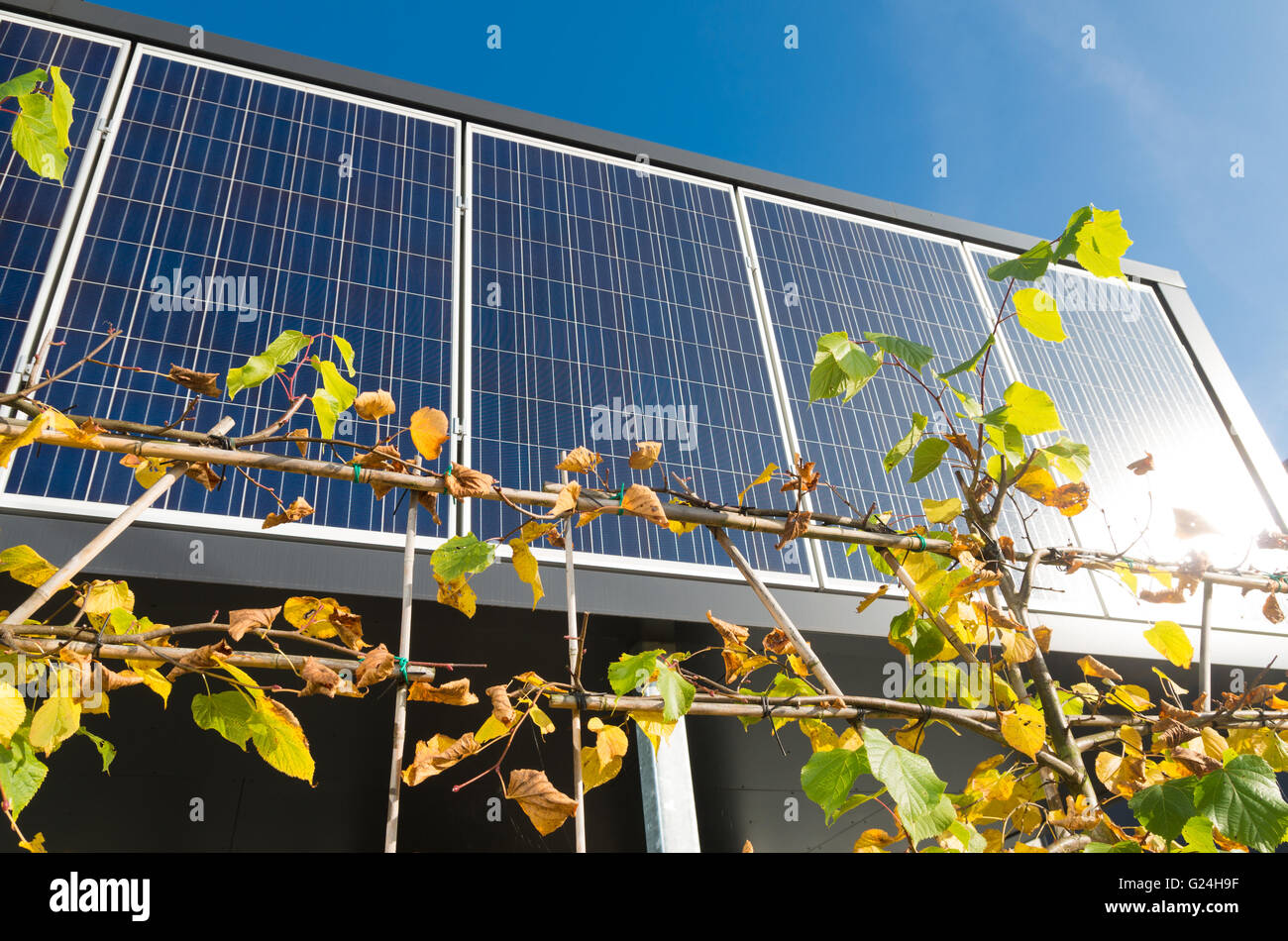 solar panels on an office building Stock Photo - Alamy