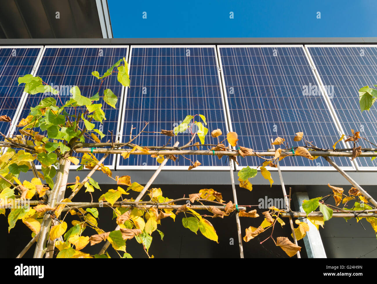 solar panels on an office building Stock Photo - Alamy