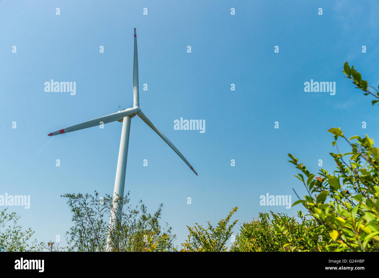 Lamma winds hi-res stock photography and images - Alamy
