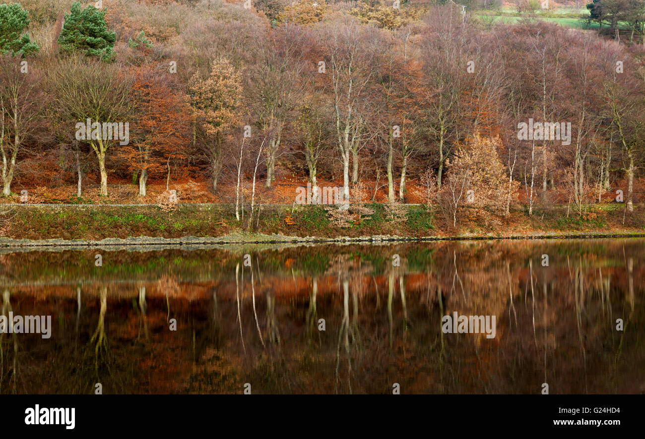 The Lake District, also known as The Lakes or Lakeland, is a ...